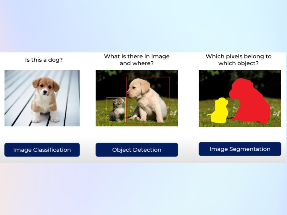 Object detection, classification and segmentation app built with yolo | Upwork