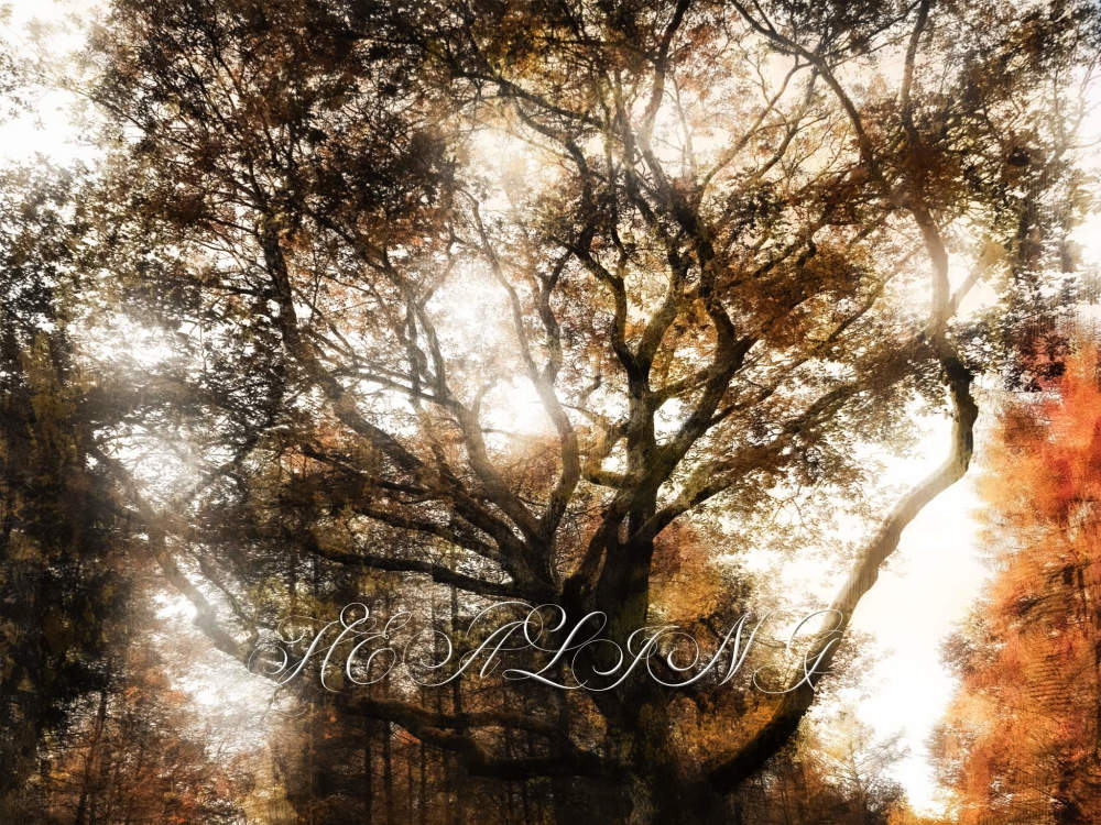 A single, album cover art | Upwork