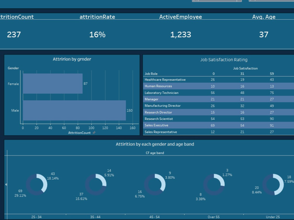 Data Analysis | Data cleaning and Visualization | Upwork