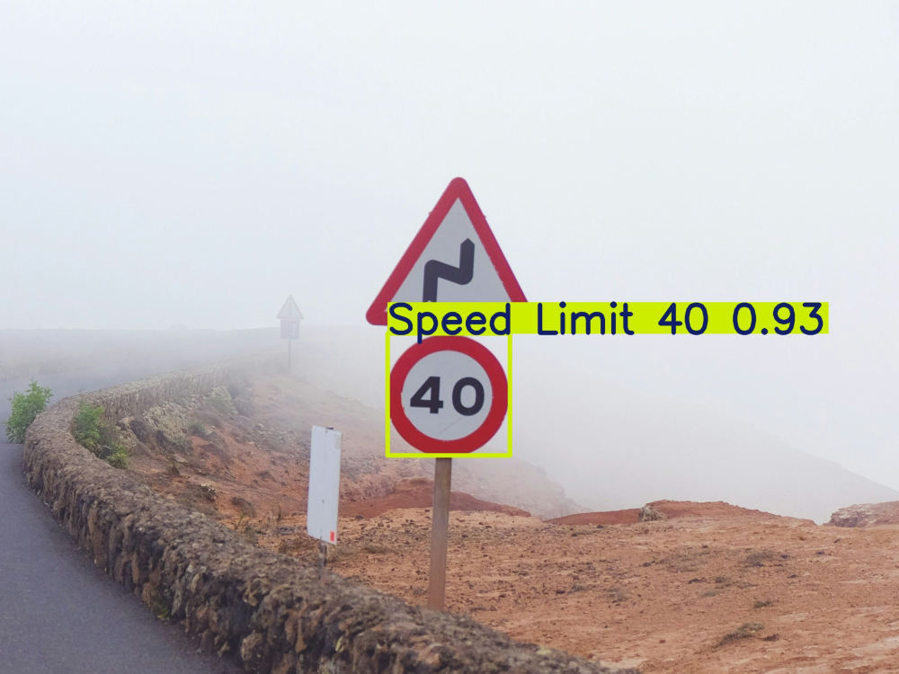 Custom Object Detection Model (YOLOv8, SSD, Faster R-CNN) with Deployment | Upwork