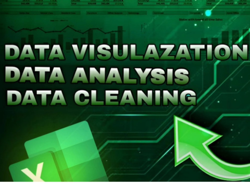 Excel data cleaning, data analysis and data visualization | Upwork