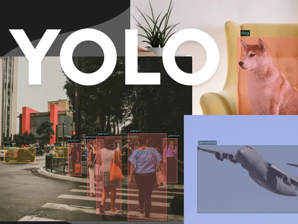 Custom Object Detection (YOLO) | Upwork