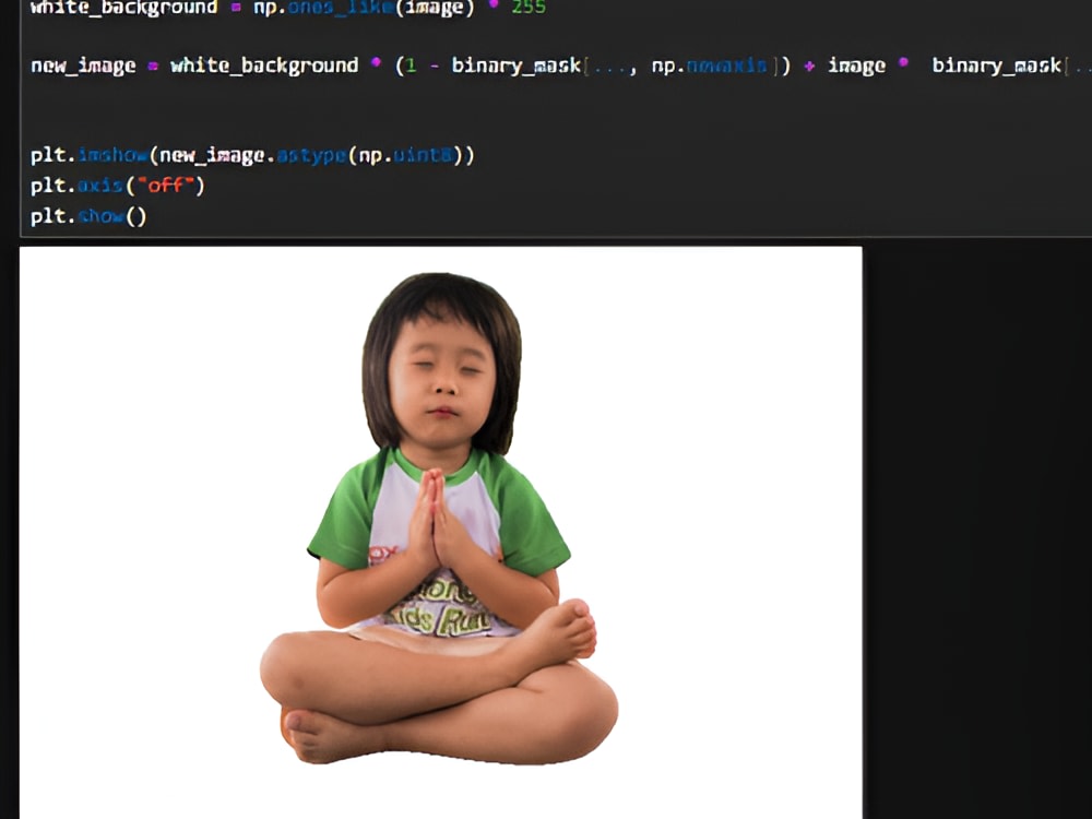 Professional Image Detection & Segmentation with YOLO & Segment ...