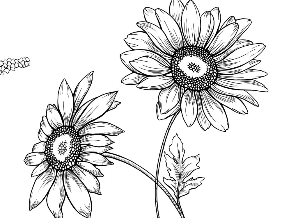 High-quality illustration in line art style. | Upwork