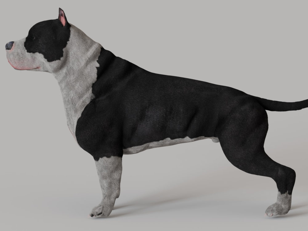 A 3d and 2d Models(Realistic/Cartoonic) | Upwork