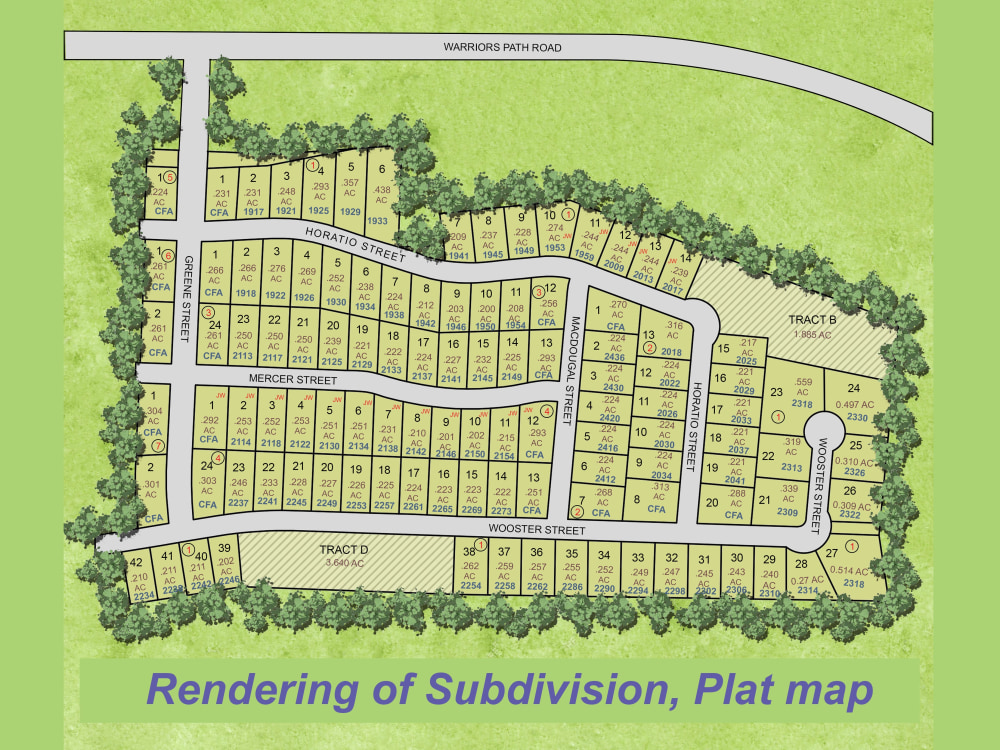 Rendering of Subdivision, Plat map or any landscape illustration | Upwork