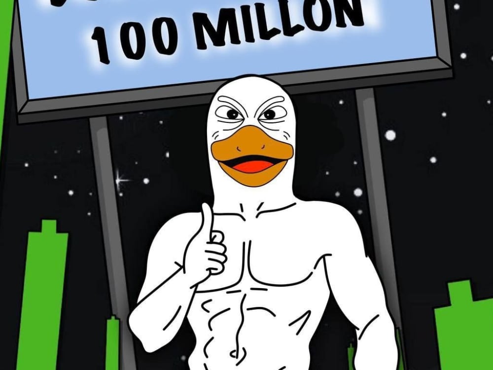 2d animation 2d illustration crypto meme video memecoin character animation | Upwork