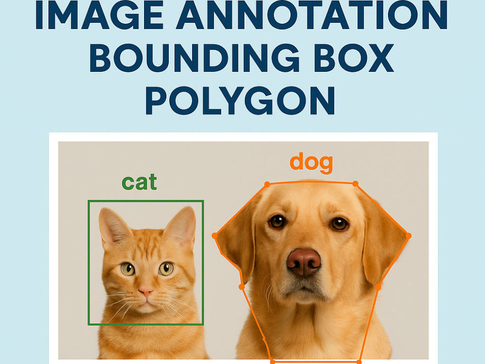 Precise Image Annotation for AI | Bounding Box & Polygon | Upwork