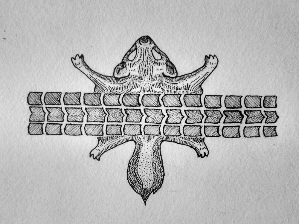 Hand - Drawn sketch illustration with cross-hatching style | Upwork