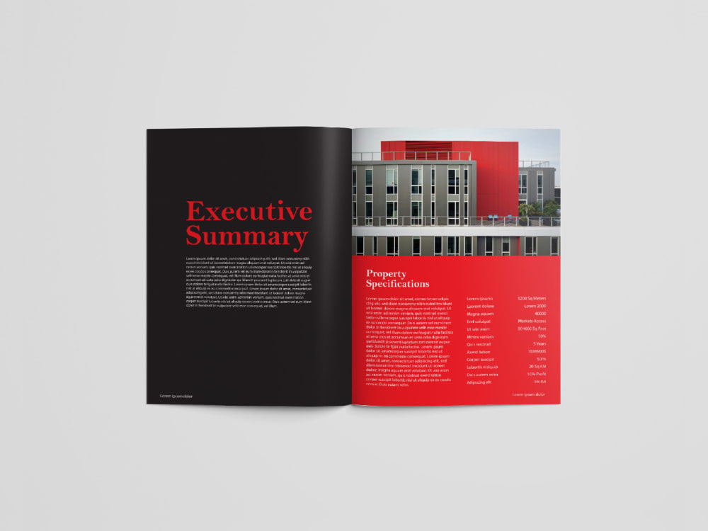 Commercial real estate offering memorandum, brochure, prospectus, and ...