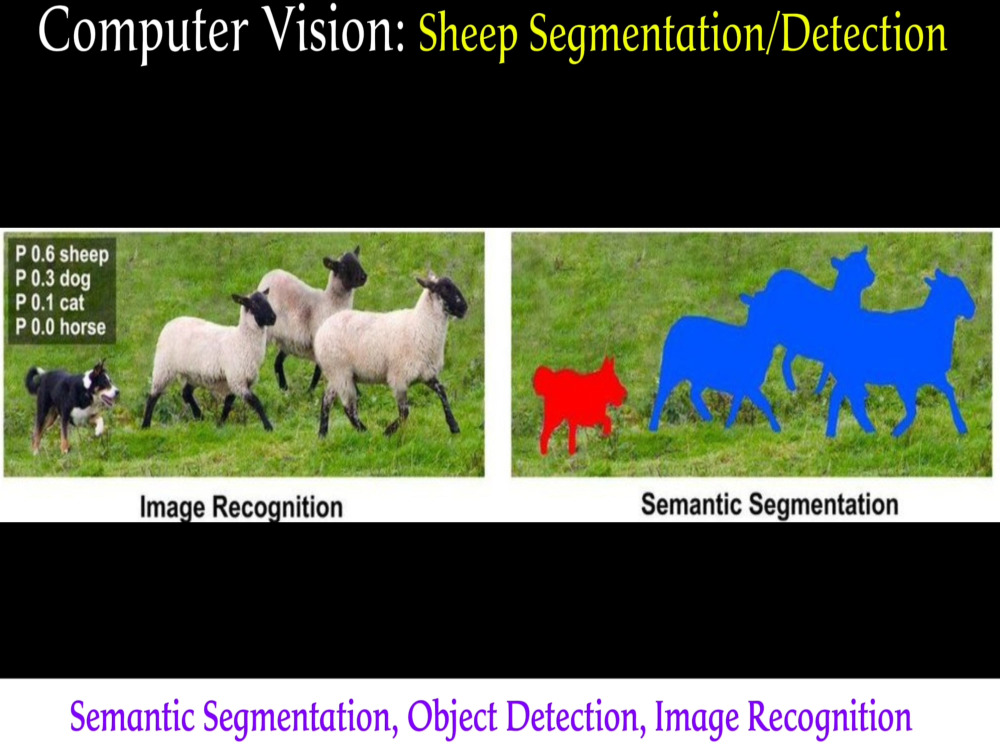 Image Segmentation & Semantic Segmentation AI Model (OpenCV) | Upwork