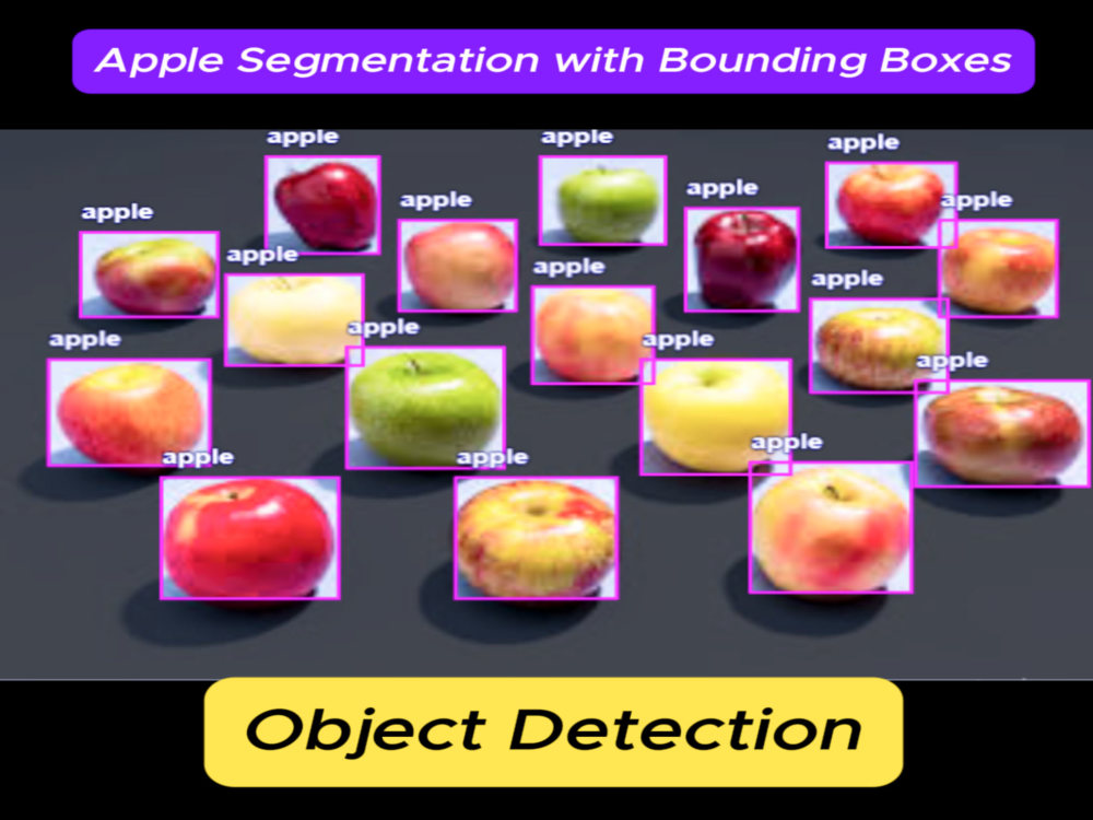 Trained yolov8, yolov9 on custom dataset and semantic Segmentation | Upwork