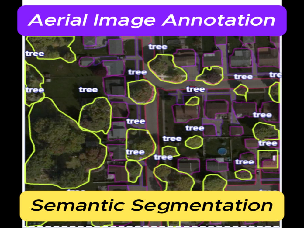 Image Segmentation & Semantic Segmentation AI Model (OpenCV) python | Upwork
