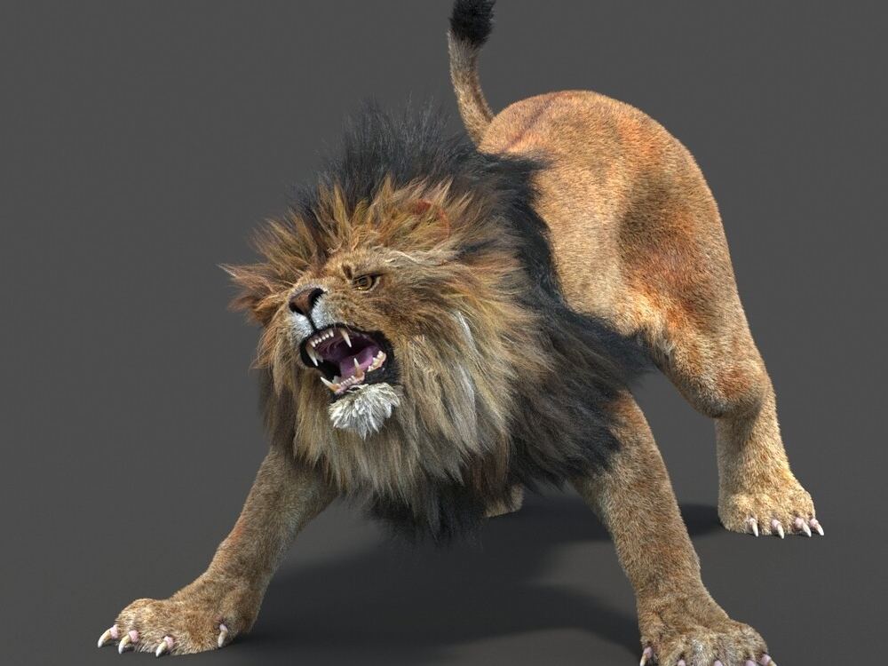 Animal model,3d creature with xgen hair, realistic fur,3d animal ...