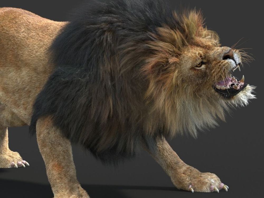 Animal model,3d creature with xgen hair, realistic fur,3d animal ...