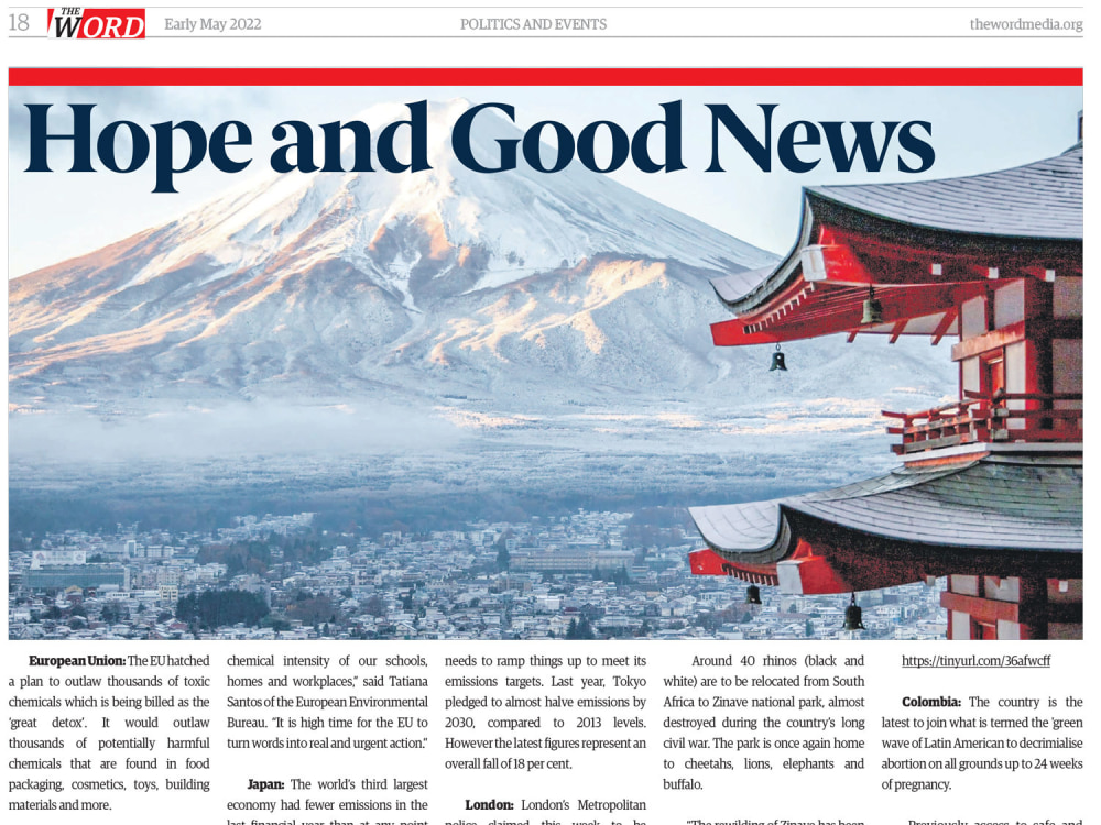 Broadsheet and Tabloid layout Newspaper design | Upwork