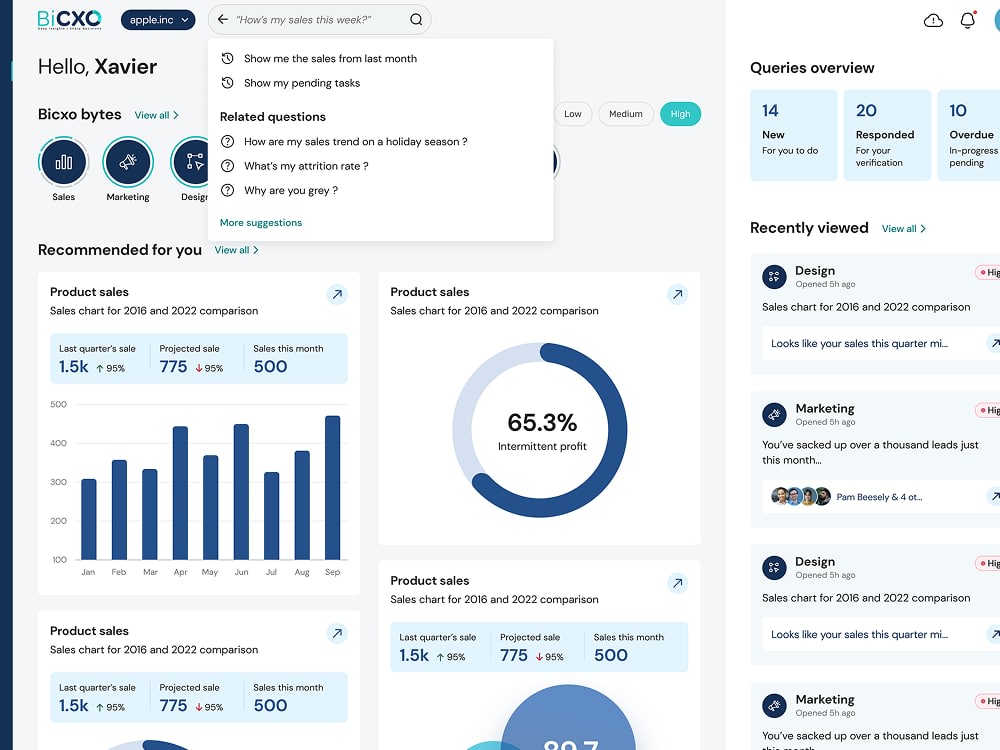 A fully interactive Power BI Dashboard | Upwork