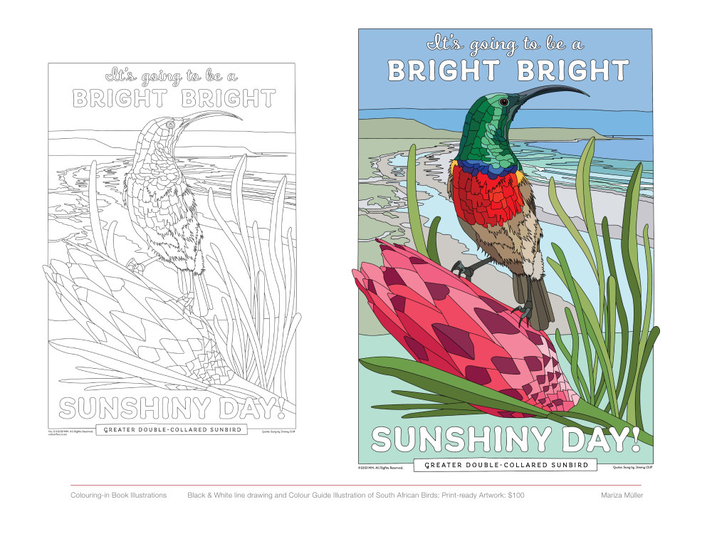 A Nature inspired line drawing Illustration for a Colouring-in Book ...
