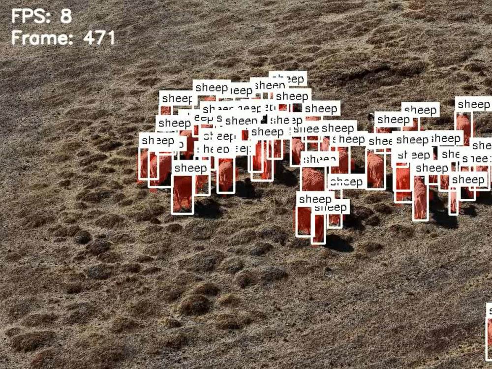 AI-Powered Computer Vision Solutions with YOLO, OpenCV & Deep learning | Upwork