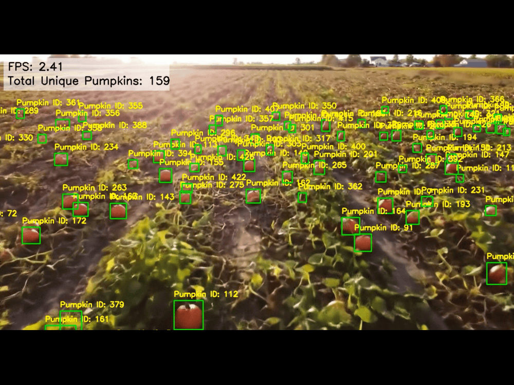 AI-Powered Computer Vision Solutions with YOLO, OpenCV & Deep learning | Upwork
