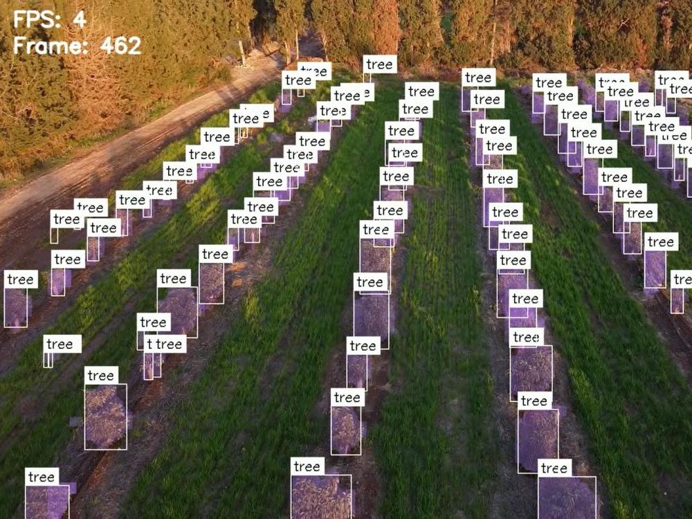 AI-Powered Computer Vision Solutions with YOLO, OpenCV & Deep learning | Upwork