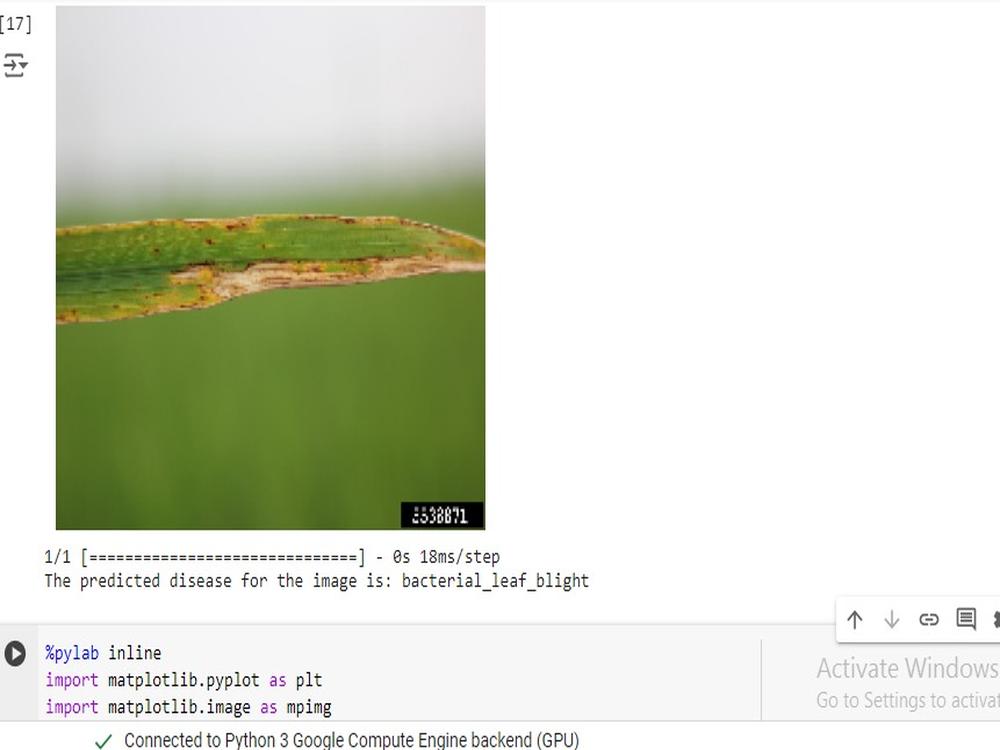 Train and fine tune deep learning models using tensorflow andgooglecolab | Upwork