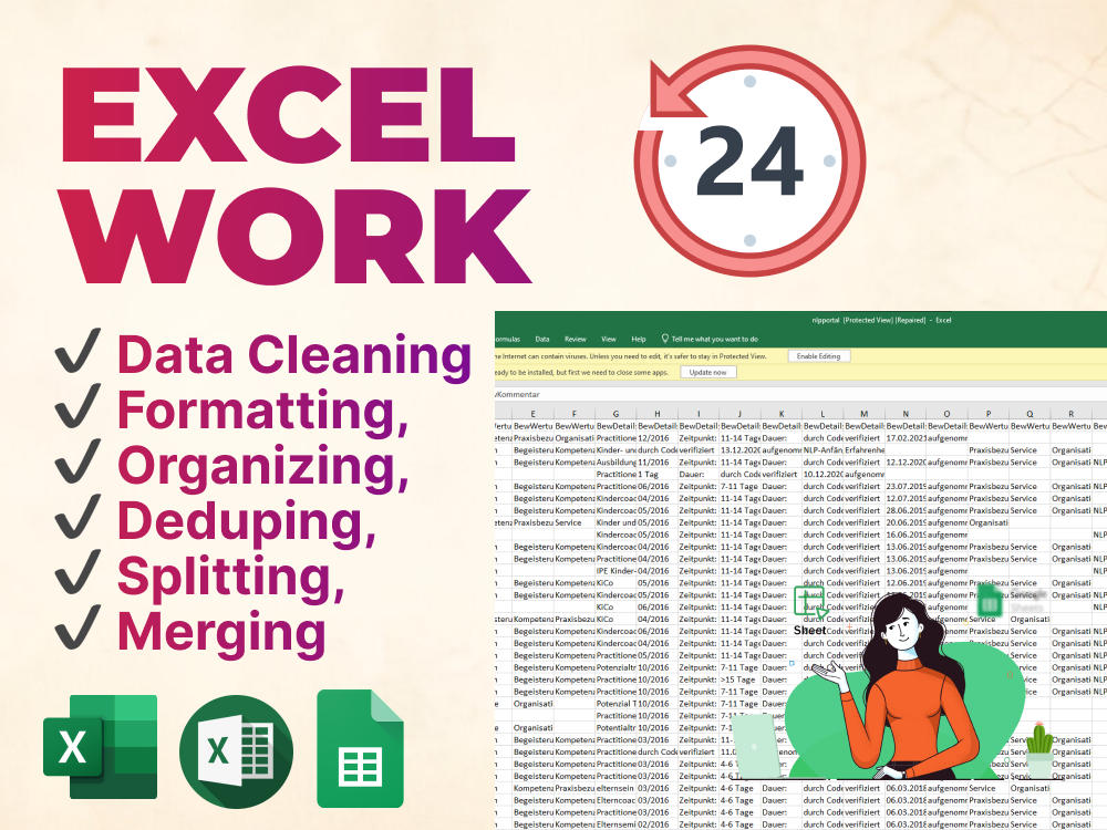 An Excel data entry, cleaning and formatting with 100% Accuracy