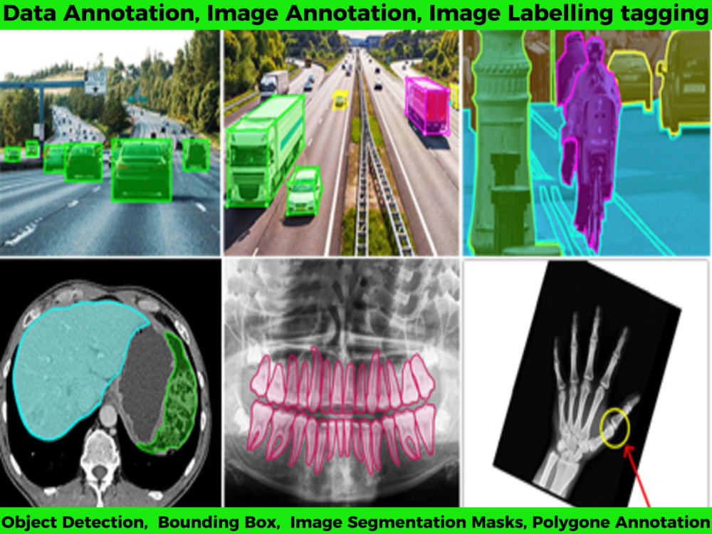 Data labeling Image annotation Semantic Segmentation Masks for AI/ML/CV ...