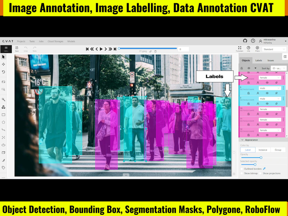 Image annotation, Video annotation, bounding box, object detection AI ...
