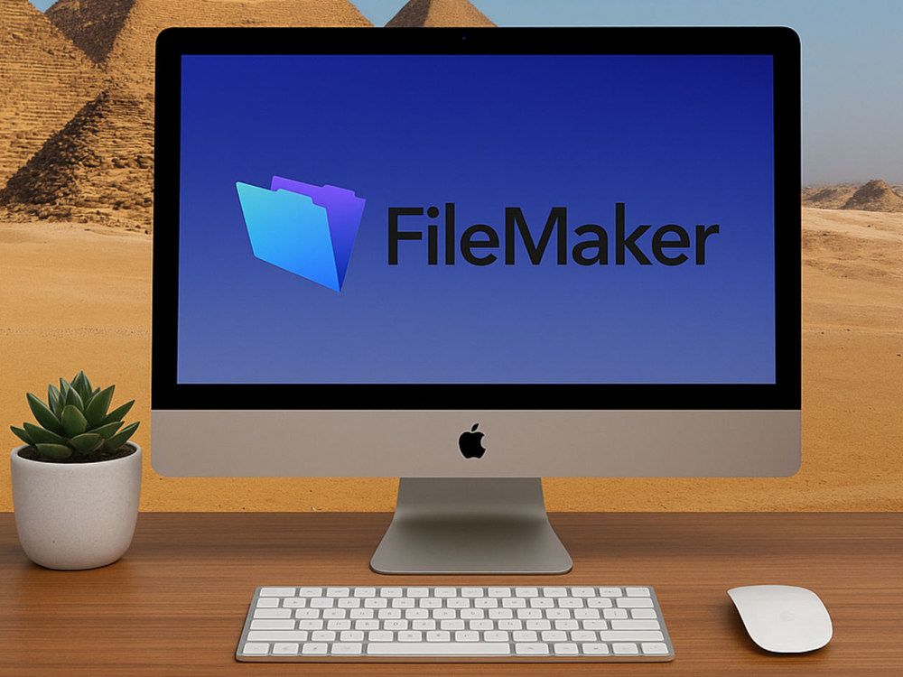Custom, Intuitive FileMaker Database Design | Upwork