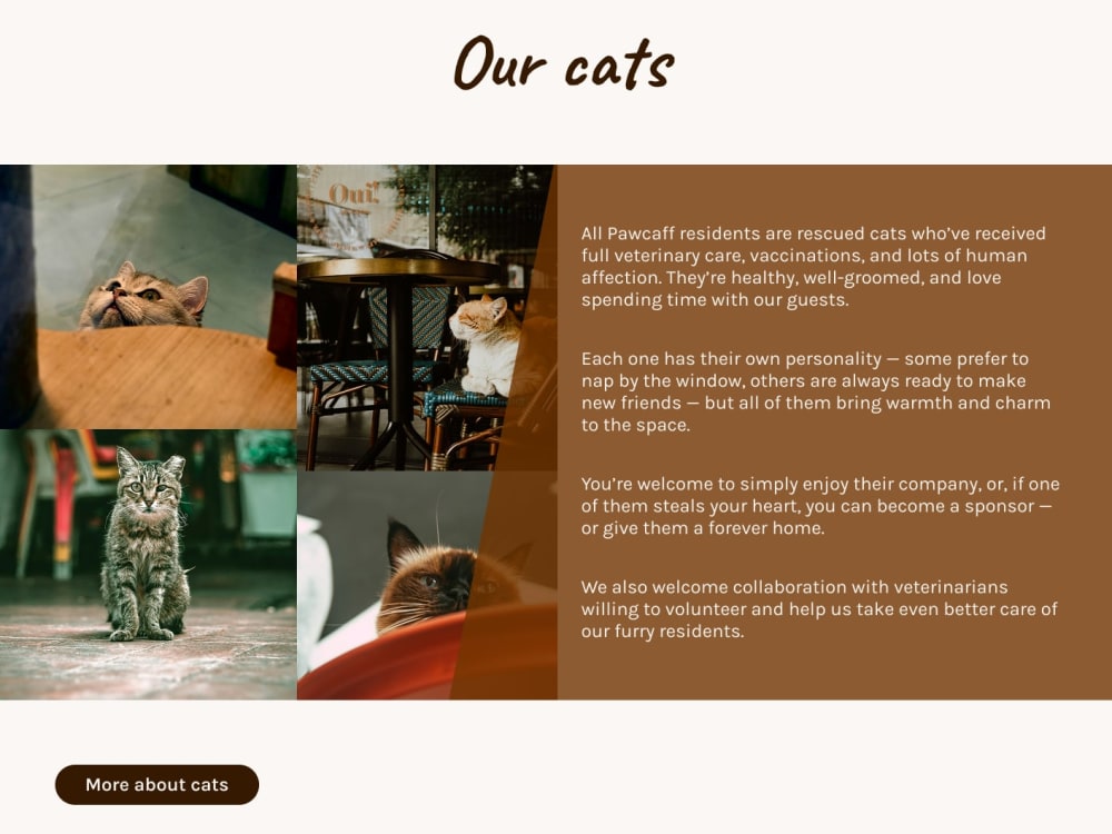 Cafe Website Design with Cats: Pawcaff (Figma, UX/UI) | Upwork