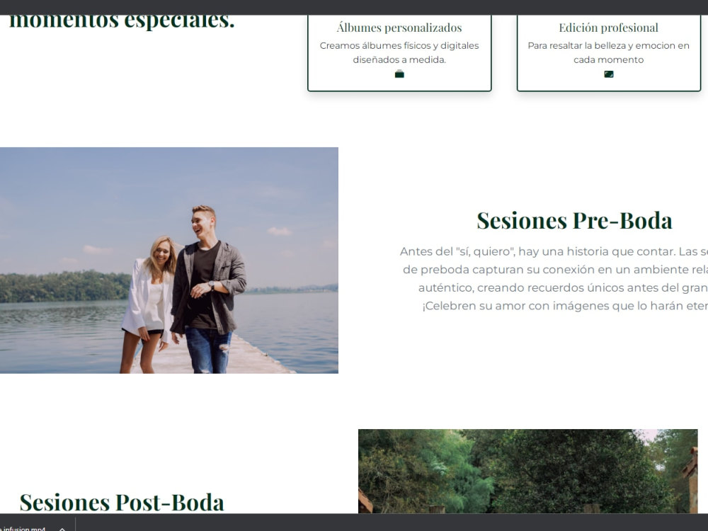 Professional websites with html, css and js | Upwork