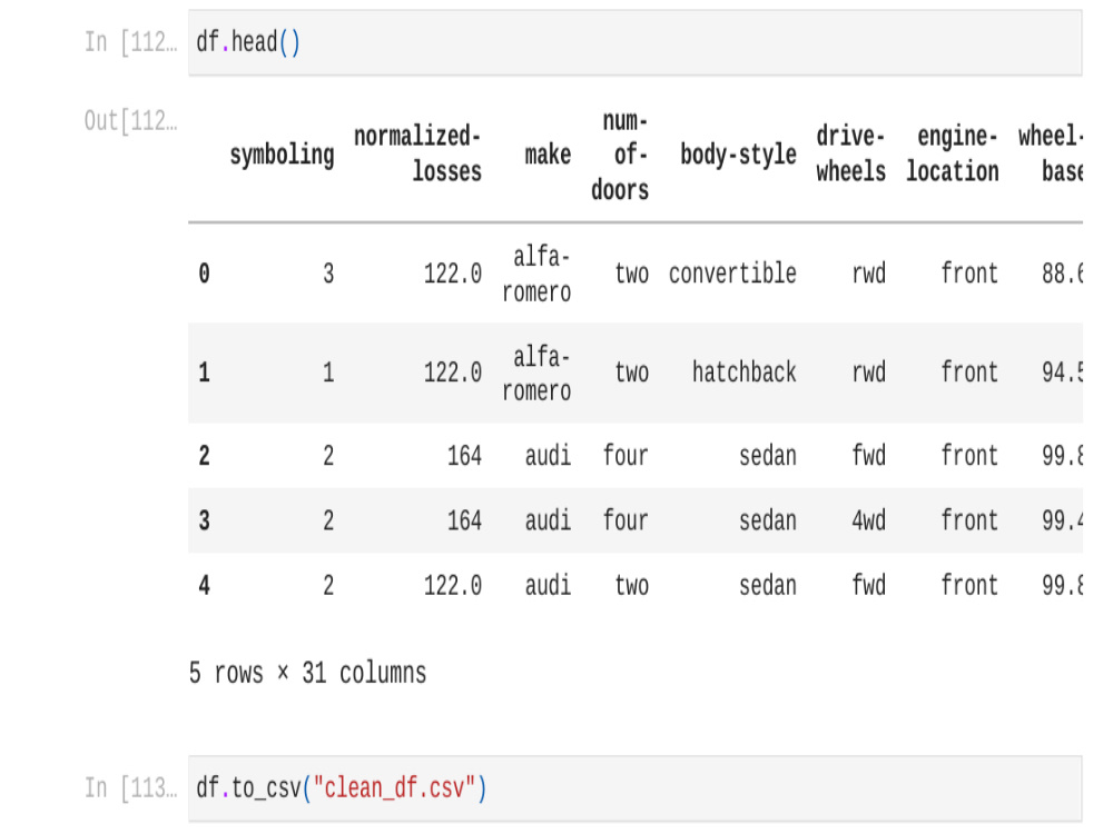 Professional Data Cleaning and Python Automation Scripts | Upwork