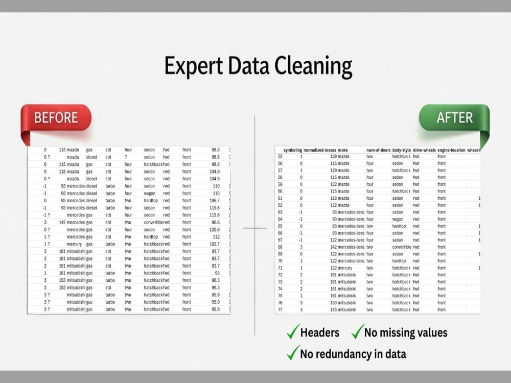 Professional Data Cleaning and Python Automation Scripts | Upwork