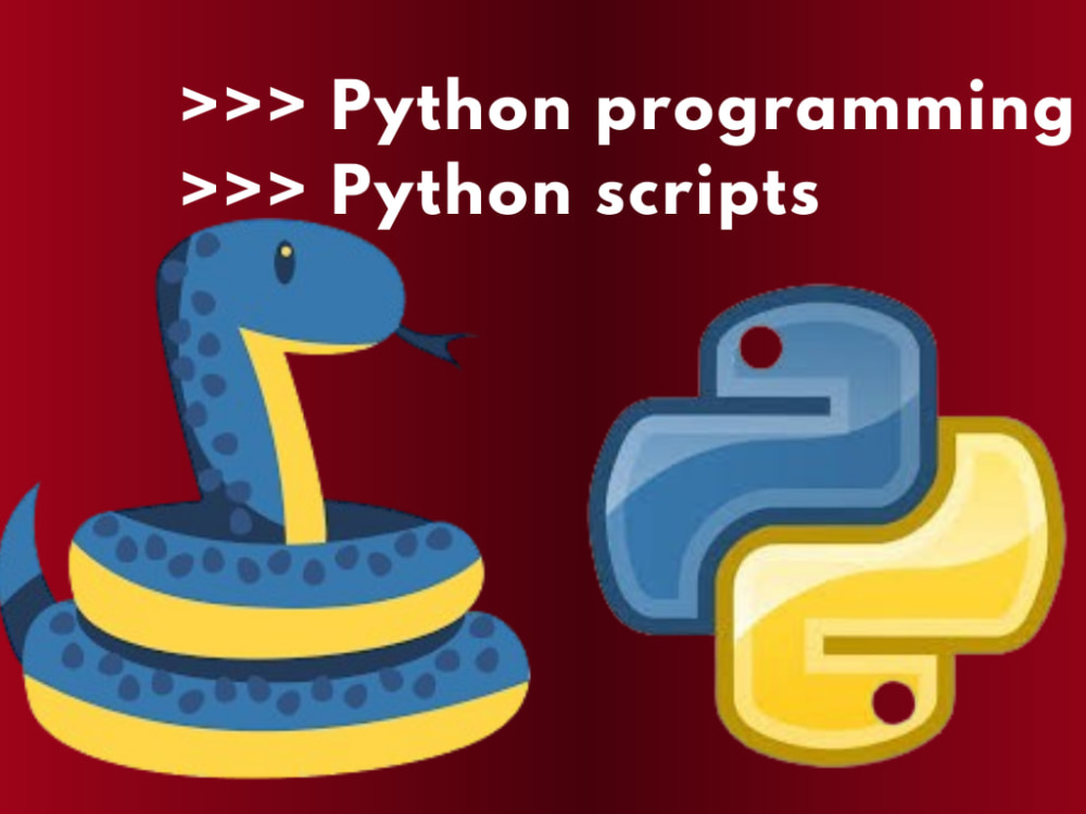 Write a python 2 python 3 script | Upwork