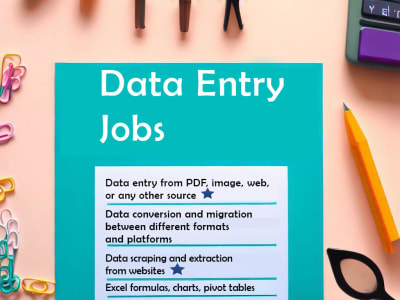 Completed data entry projects, Excel sheets, template at an excellent price | Upwork
