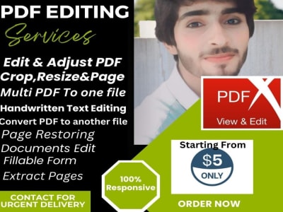 Pdf editing, pdf format, design, form, page, and editing document | Upwork
