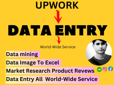 Professional data entry service | Upwork