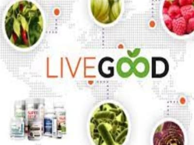Mlm promotion live good promotion to boost organic traffic | Upwork