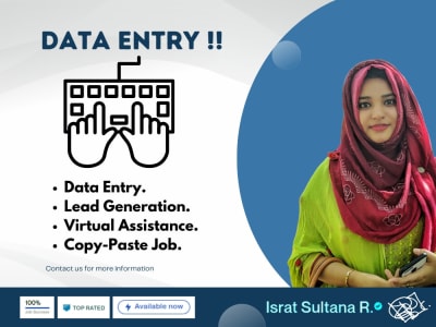Professional Data Entry job with 100% accuracy with Virtual Assistance ...