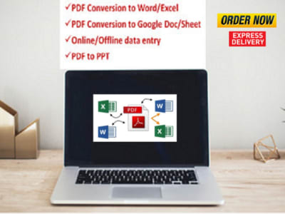 PDF Conversion, Data entry into word, data entry into excel | Upwork