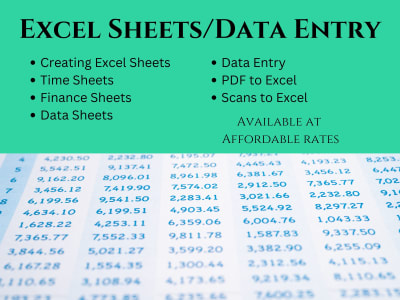 A professionally setup excel sheet and data entry | Upwork