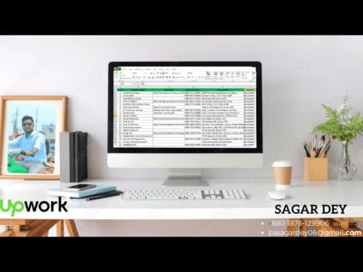 Data Entry, PDF to Excel, Data Entry to Excel/Word, JPG/Image to Excel ...