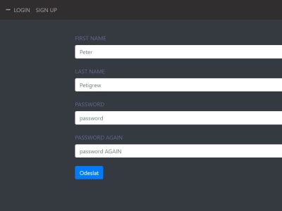 A fully custom web app | Upwork
