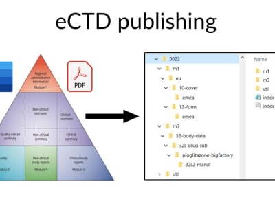 An eCTD package publishing for submission to Health Authorities | Upwork