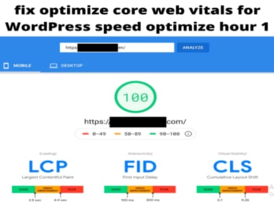 Fix optimize core web vitals for wordpress speed hour 1 | Upwork