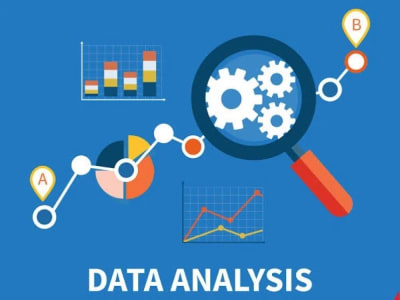 Statistical Analysis and Interpretation using Excel, SPSS, R, and Python | Upwork
