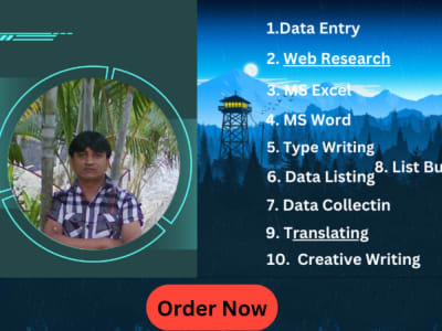 A Skilled Web Research & Data Entry Virtual Assistant | Upwork