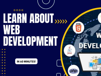 Base knowledge about website development (HTML, CSS, JAVASCRIPT ...