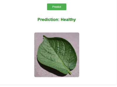 Potato Disease Detection Model | Upwork